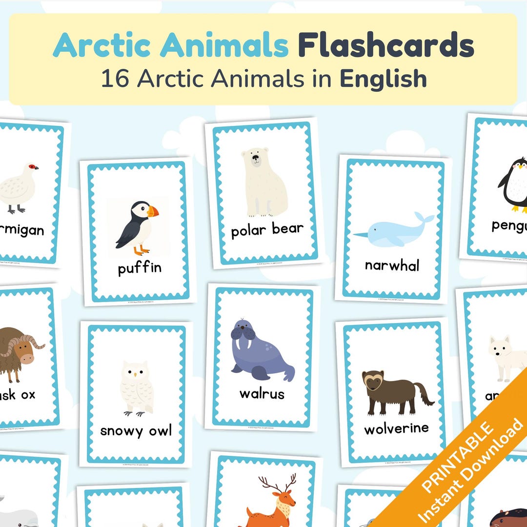 Arctic Animals Flashcards: Kids English Vocabulary Game (PDF Download ...