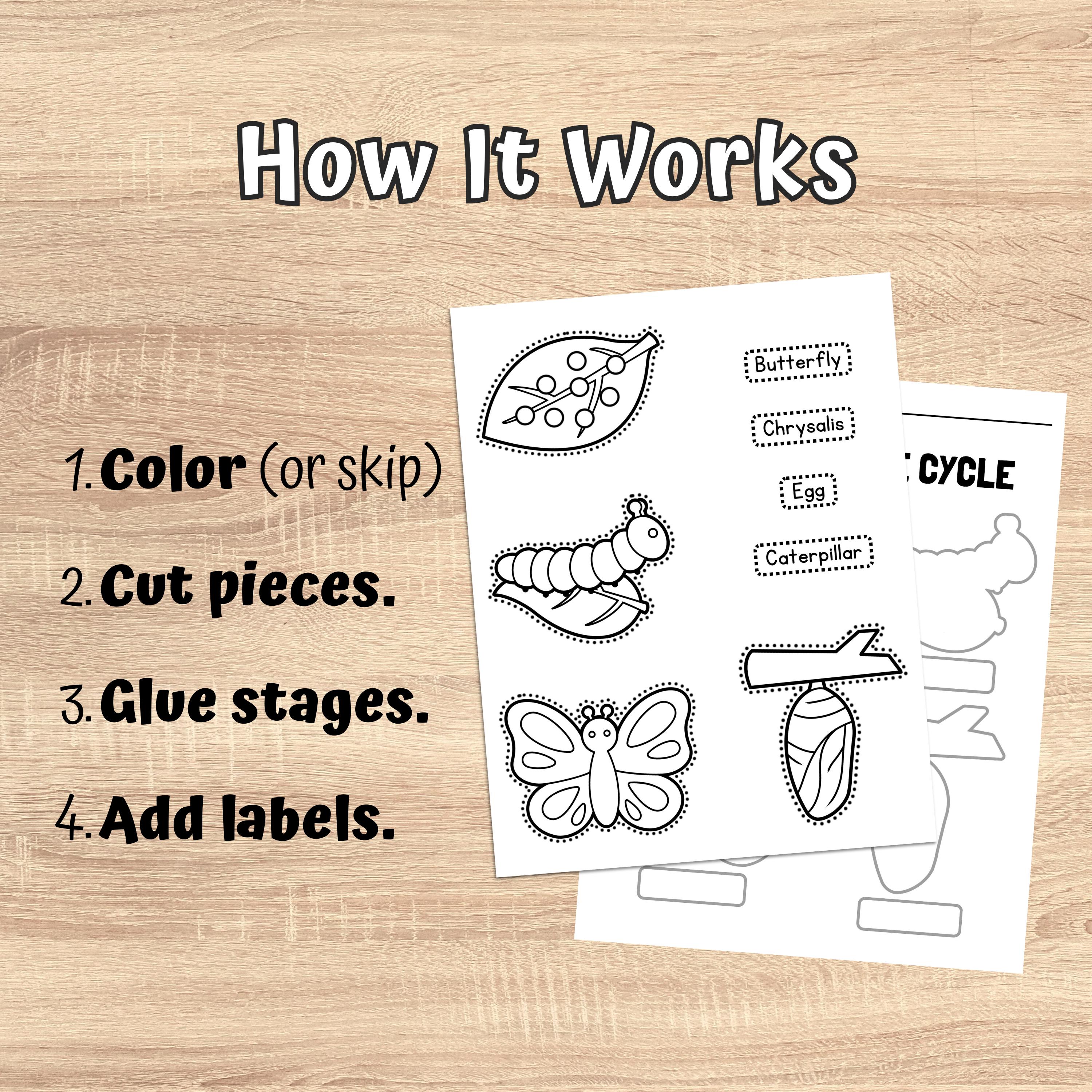 Butterfly Life Cycle Cut & Glue Craft | Printable Color and Assemble ...