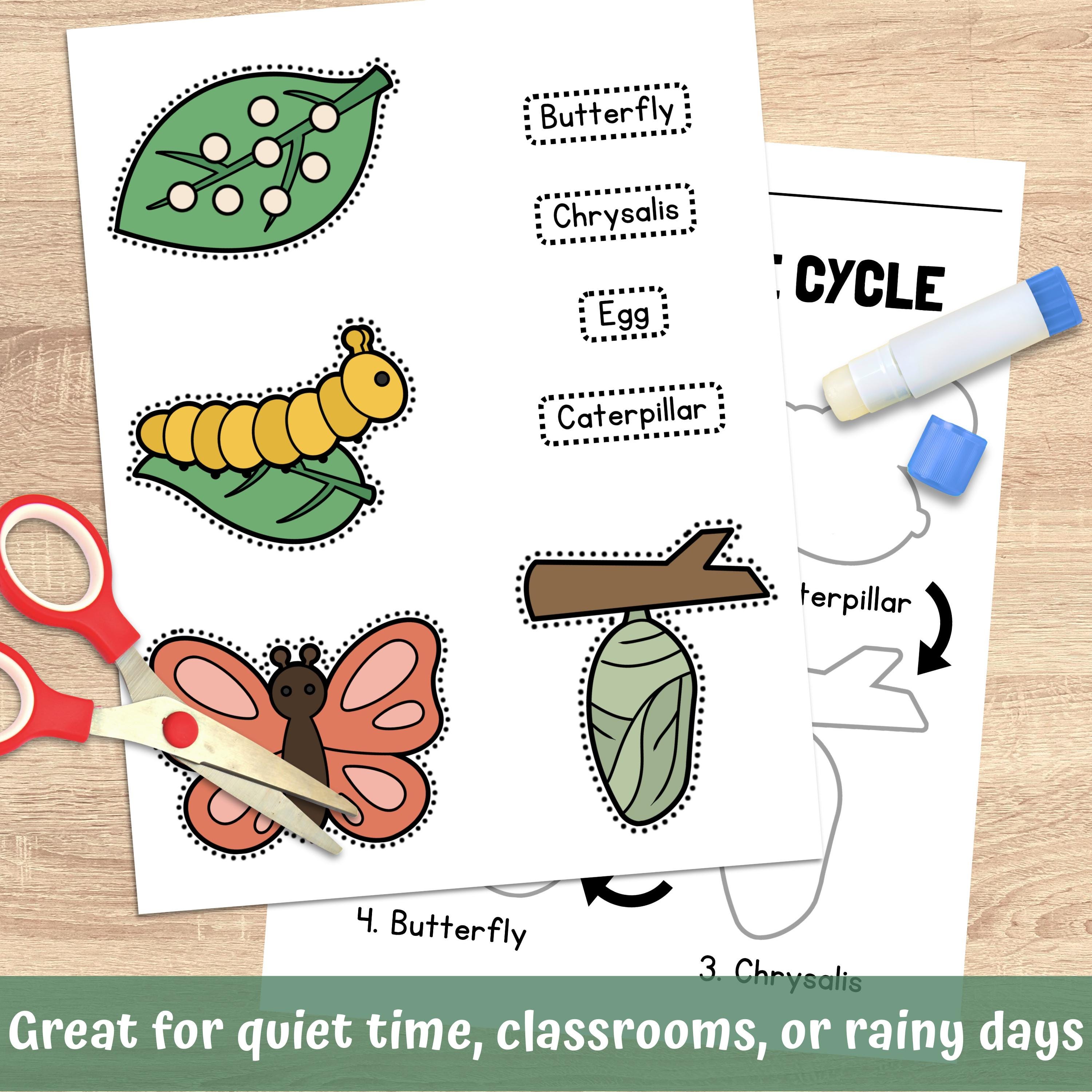 Butterfly Life Cycle Cut & Glue Craft | Printable Color and Assemble ...