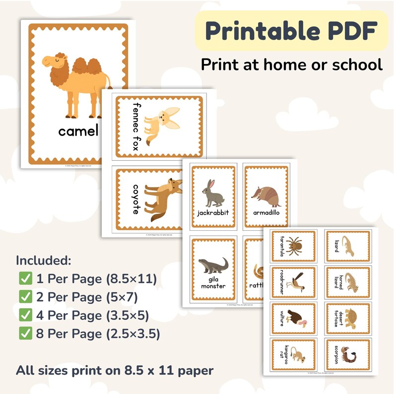 Desert Animals Flashcards: English Kids Learning Cards (PDF Download ...