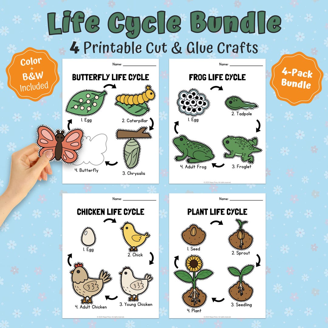 Life Cycle Cut & Glue Bundle | 4 Printable Kids Science Activities ...