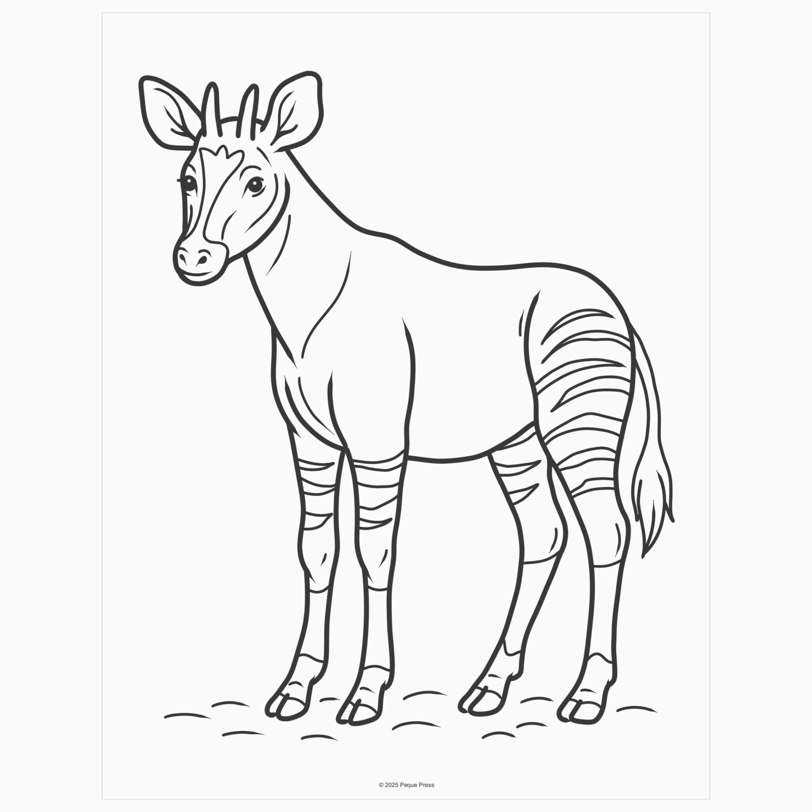 Okapi Coloring Page | Printable Wildlife Animal Sheet (PDF Download) - Etsy