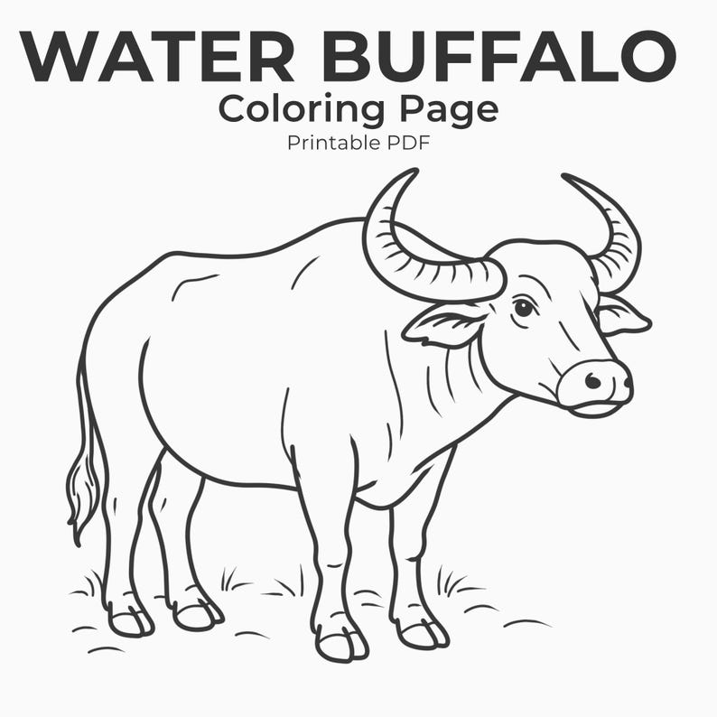 Water Buffalo Coloring Page | Printable Wildlife Animal Sheet (PDF ...
