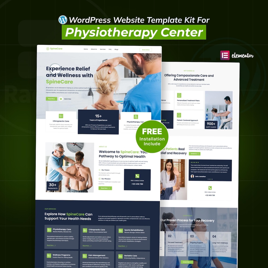 Chiropractic Wordpress Elementor Landing Page | Wellness Clinic ...