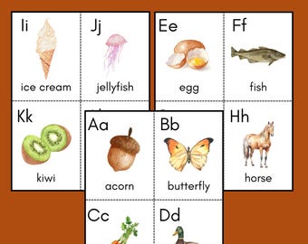 Alphabet Flashcards Upper and Lowercase Letters Kids Abc's Pre-k ...