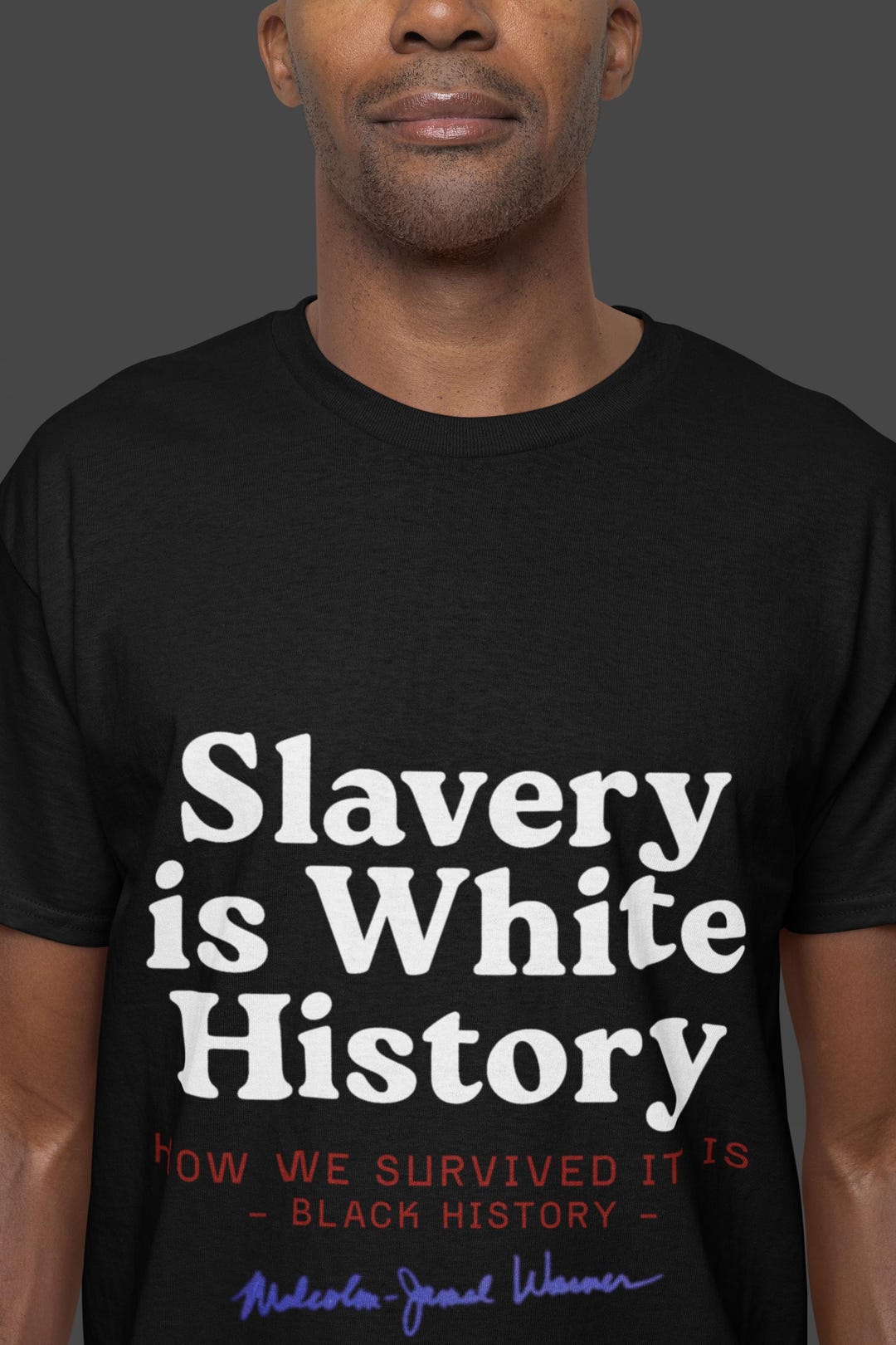 Black History Resilience T-shirt: Slavery is White History, Unisex ...