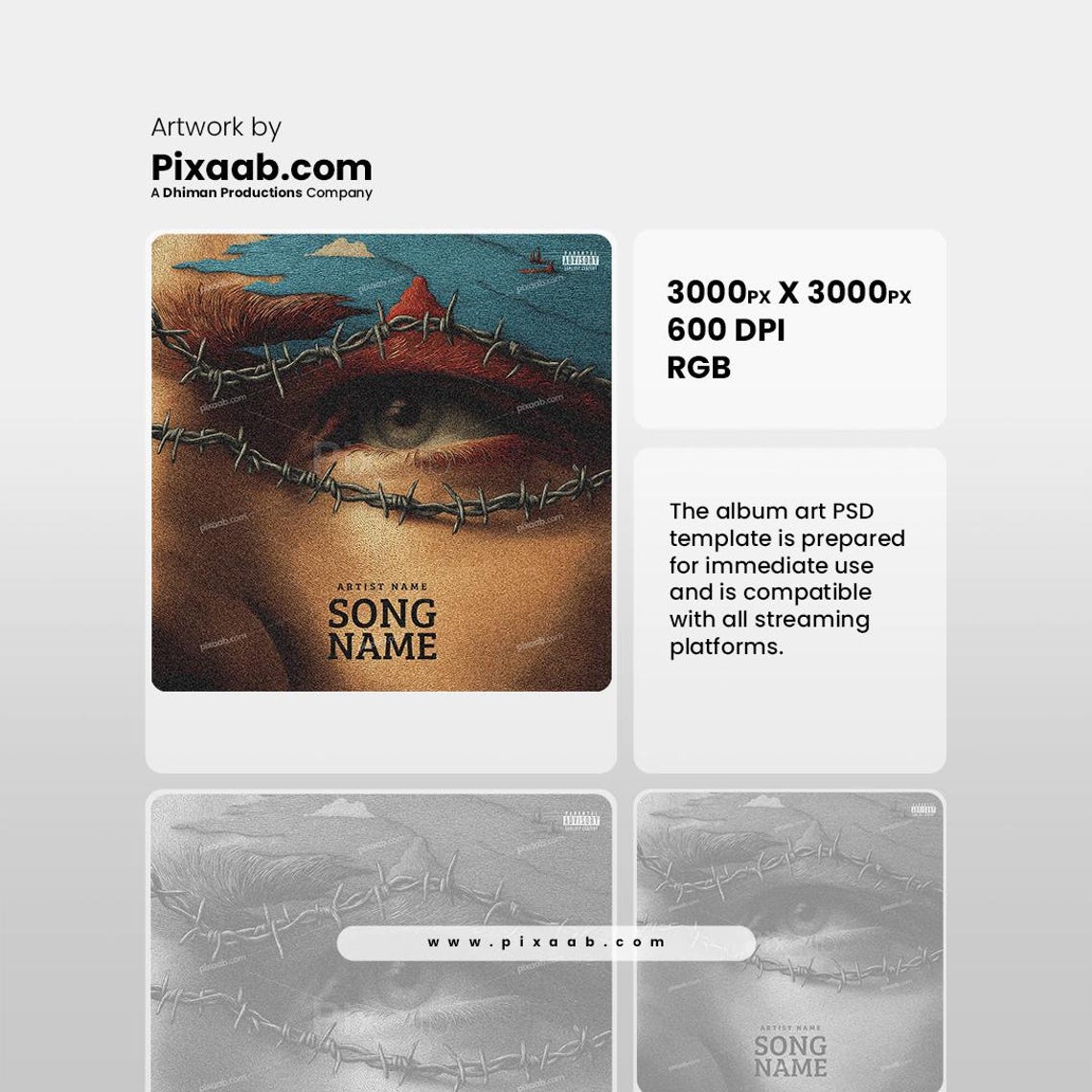 Wired Vision Album Cover Art – PSD + JPG Custom Package | Editable ...