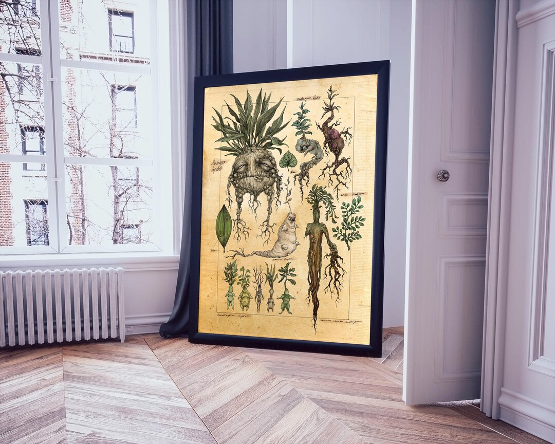 Herbology Medicinal Plant Canvas Wall Art,magic Botanical Canvas Print ...