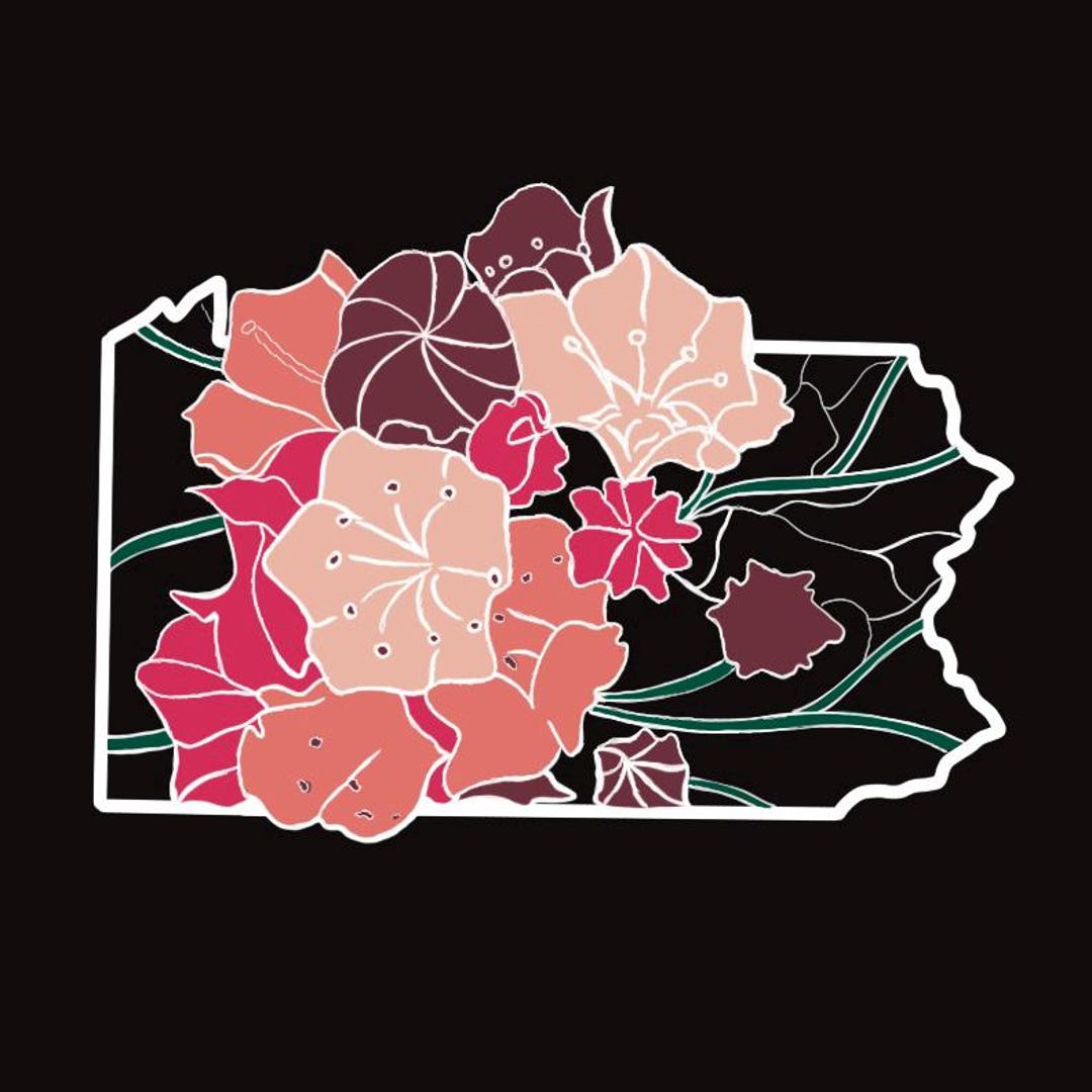Pennsylvania State Flower Print: Hand-drawn Mountain Laurel Art ...