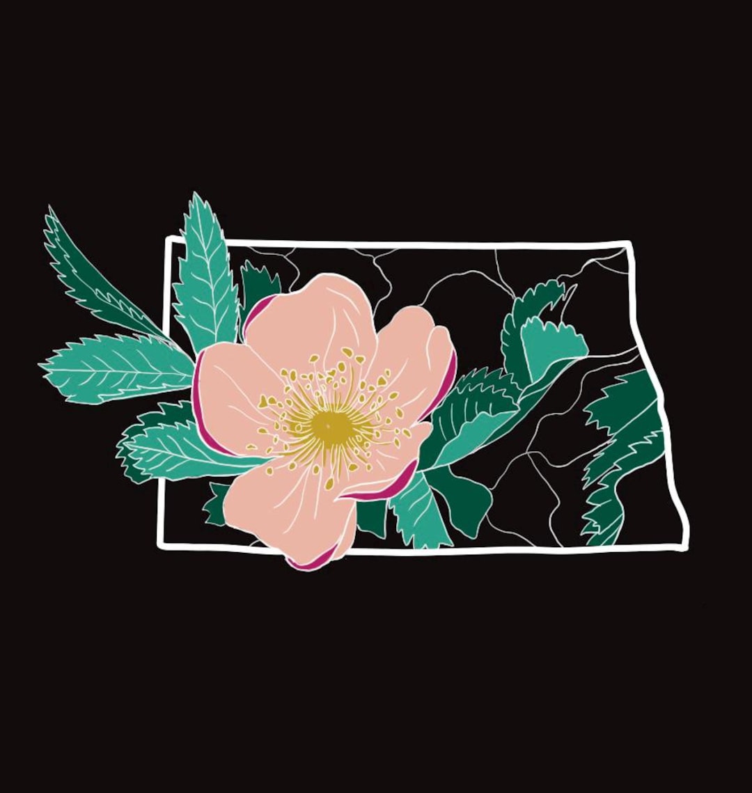 Wild Prairie Rose Art Print: Hand-drawn North Dakota State Flower ...