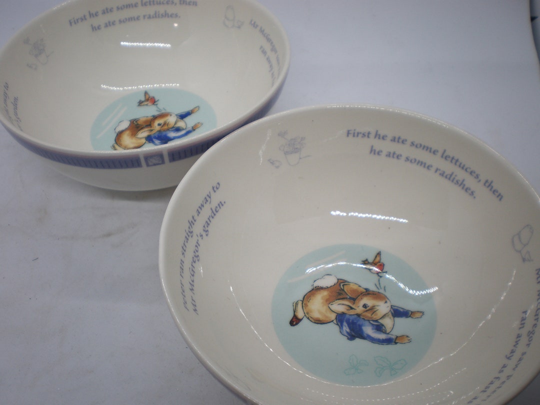 Unusual Set of 2 Ceramic Peter Rabbit Bowls by Wedgwood - Etsy