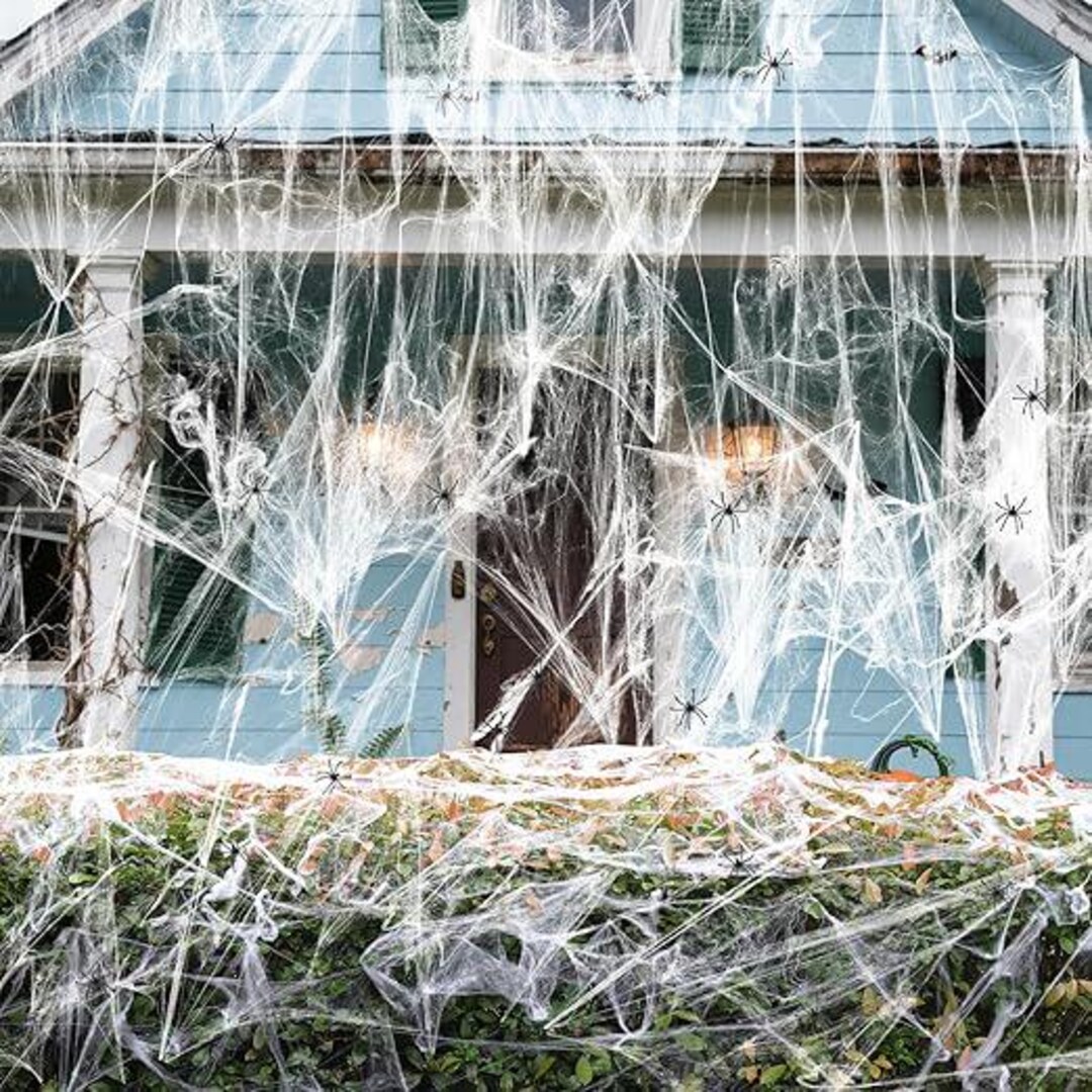 Decorative, Land Guard 200 Sqft Spider Web, Bonus With 10 Artificial ...