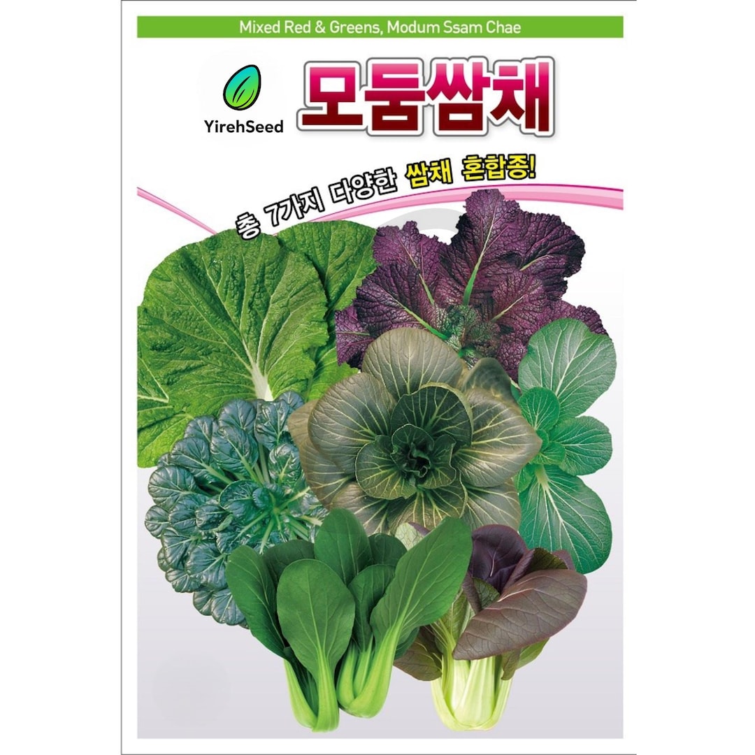 Korean BBQ Ssam Mix Seeds: Colorful Variety of Lettuce & Mustard Greens ...