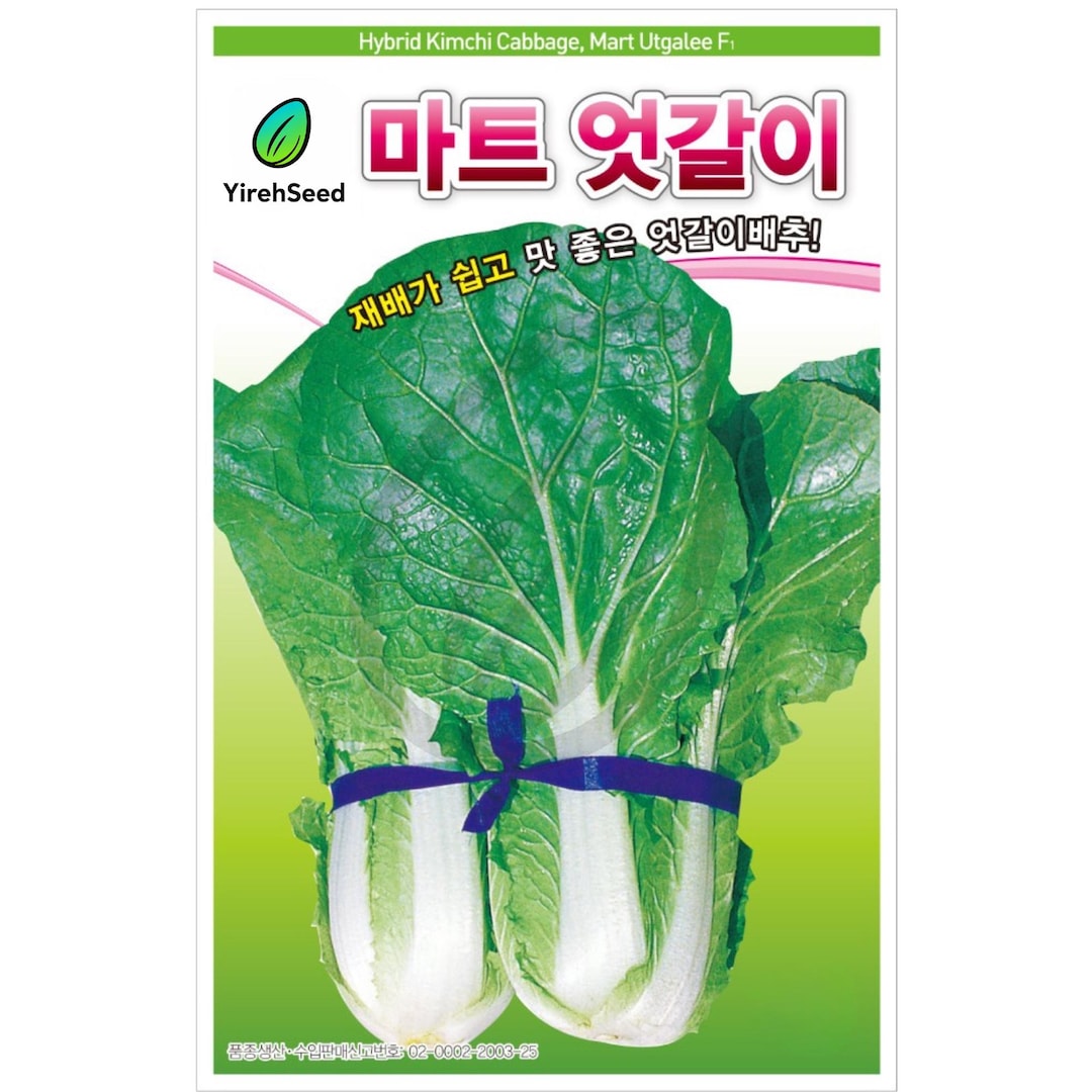 Korean Summer Cabbage Seeds: Young Napa Kimchi Cabbage, Non-gmo, 엇갈이 배추 ...