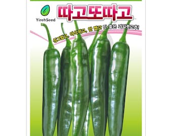 Korean Gochu Pepper Seeds - Etsy