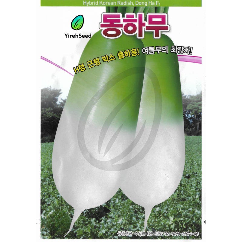 Radish Seeds Korean - Etsy