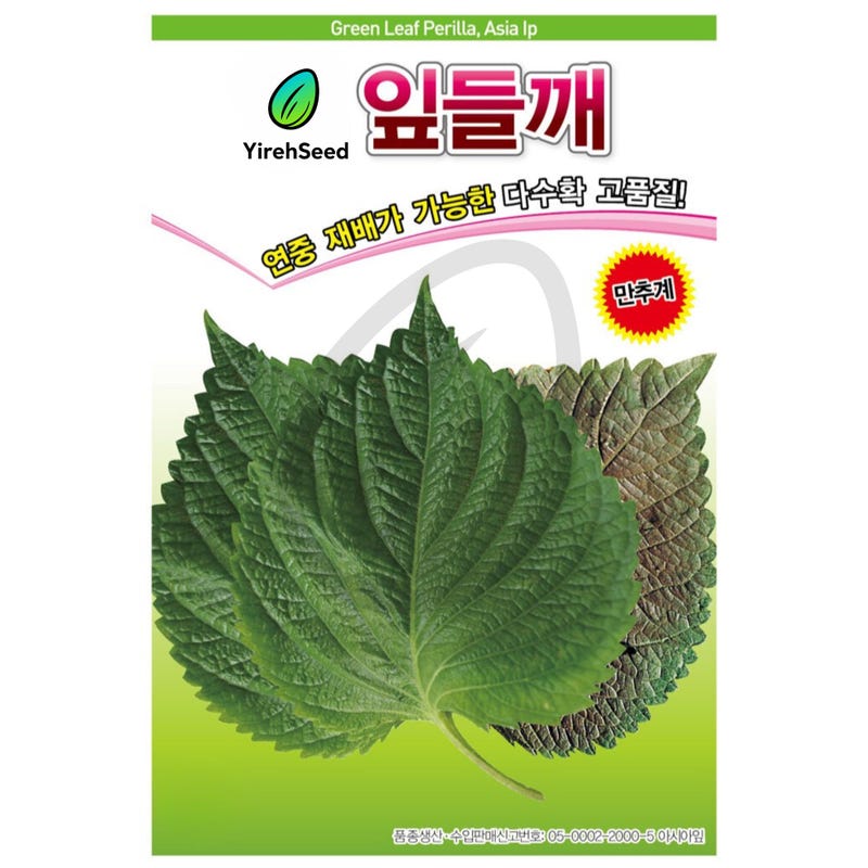 Leaves in Korean - Etsy