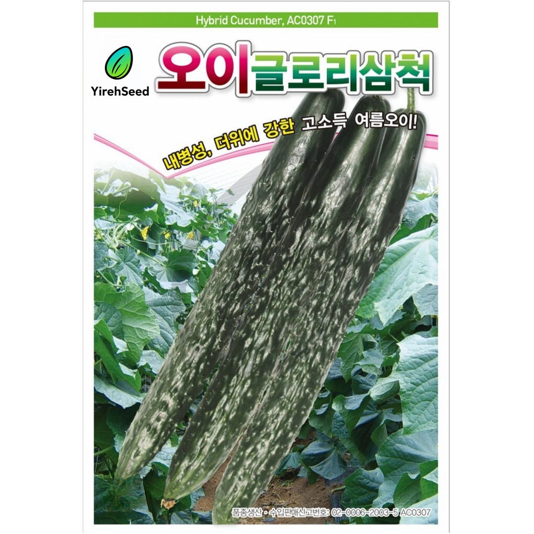 Korean Long Cucumber Seeds – Heat-tolerant, Crisp & Sweet Heirloom, 삼척 ...