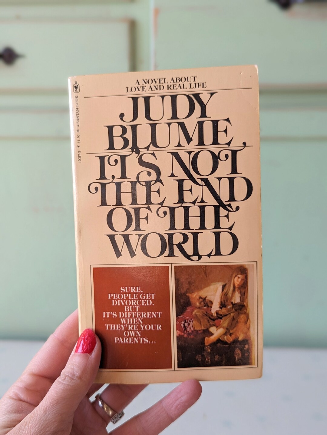 1972 Vintage Its Not the End of the World Judy Blume Book....literature ...