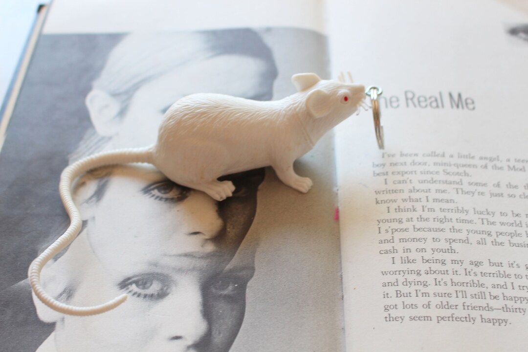 The RAT Keychain.....spooky. Halloween. Novelty. Weird. Creepy. Retro ...