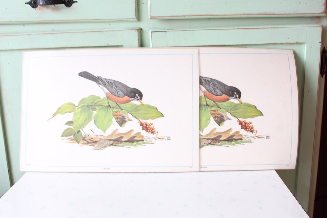 Vintage Robin Bird Placemats - 1970s Retro Floral Set of 4 - Etsy