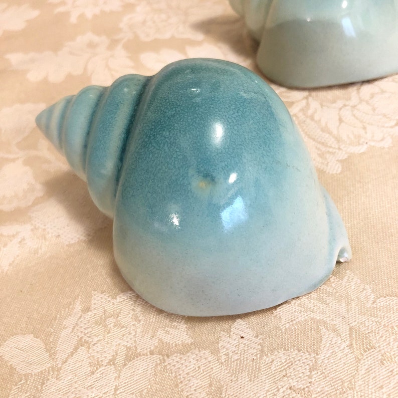 Vintage Pottery Sea Shells Reef Pottery Swirl Seashells - Etsy