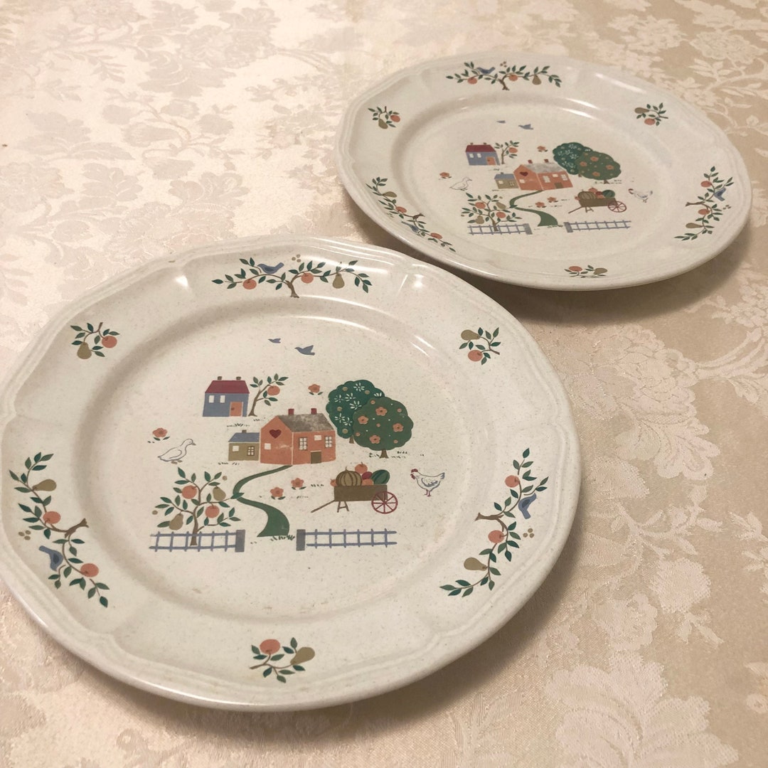 Vintage Country Home Kitchen Dinner Set Stoneware Dinner Plates Country ...