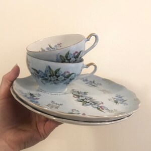 Delicate Robins Egg Blue China Luncheon Set Serves Two Small Tea Cup on ...