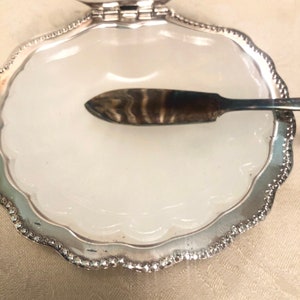 Rare Shell Queen Anne Silver Shell Glass Insert and Silver - Etsy