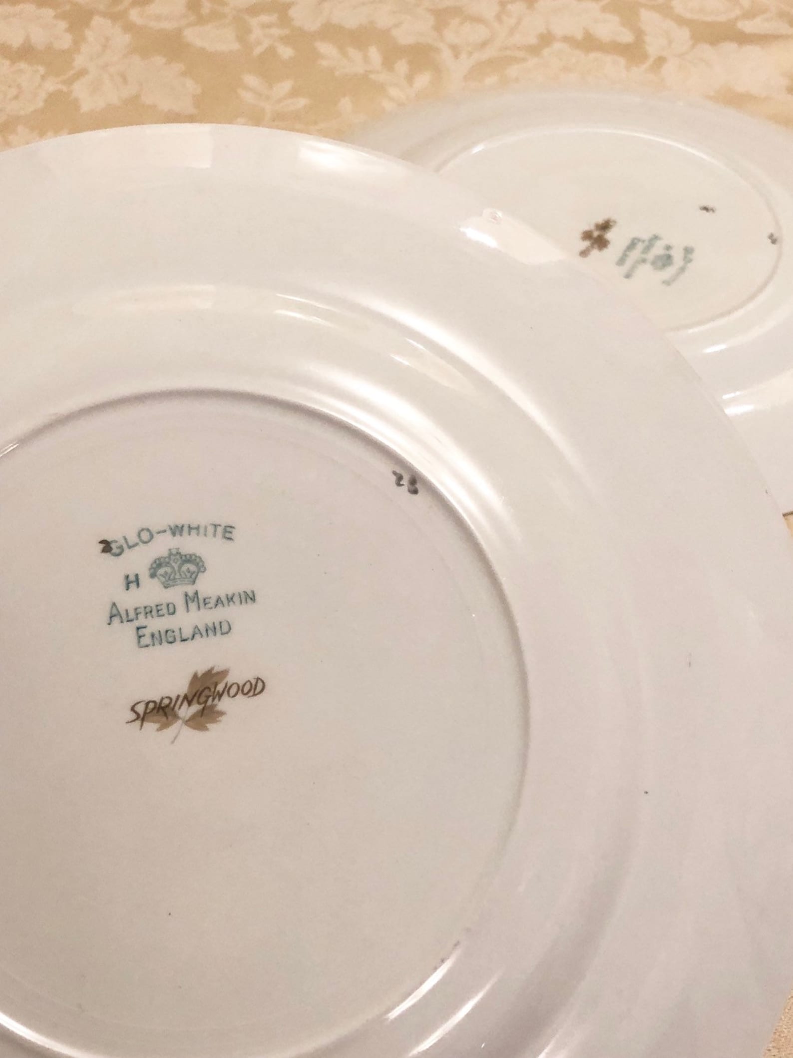 Glo-white H Crown Alfred Meakin England Springwood Fall Leaf Dinner ...