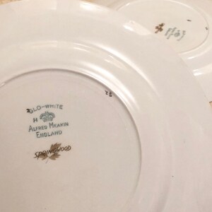 Glo-white H Crown Alfred Meakin England Springwood Fall Leaf Dinner ...