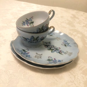 Delicate Robins Egg Blue China Luncheon Set Serves Two Small Tea Cup on ...