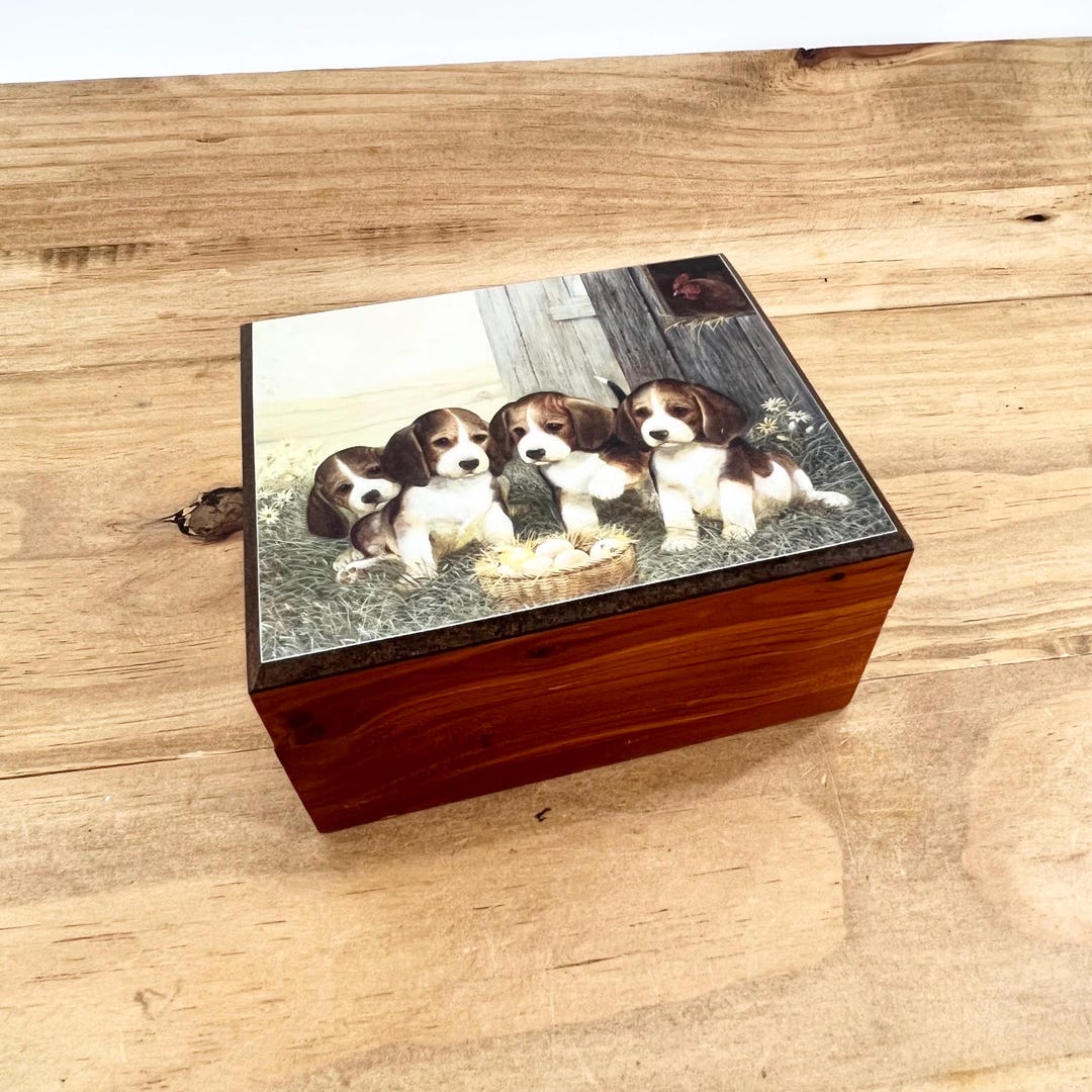 Vintage Wood Box With Adorable Beagle Puppies Watching Over Hatching ...
