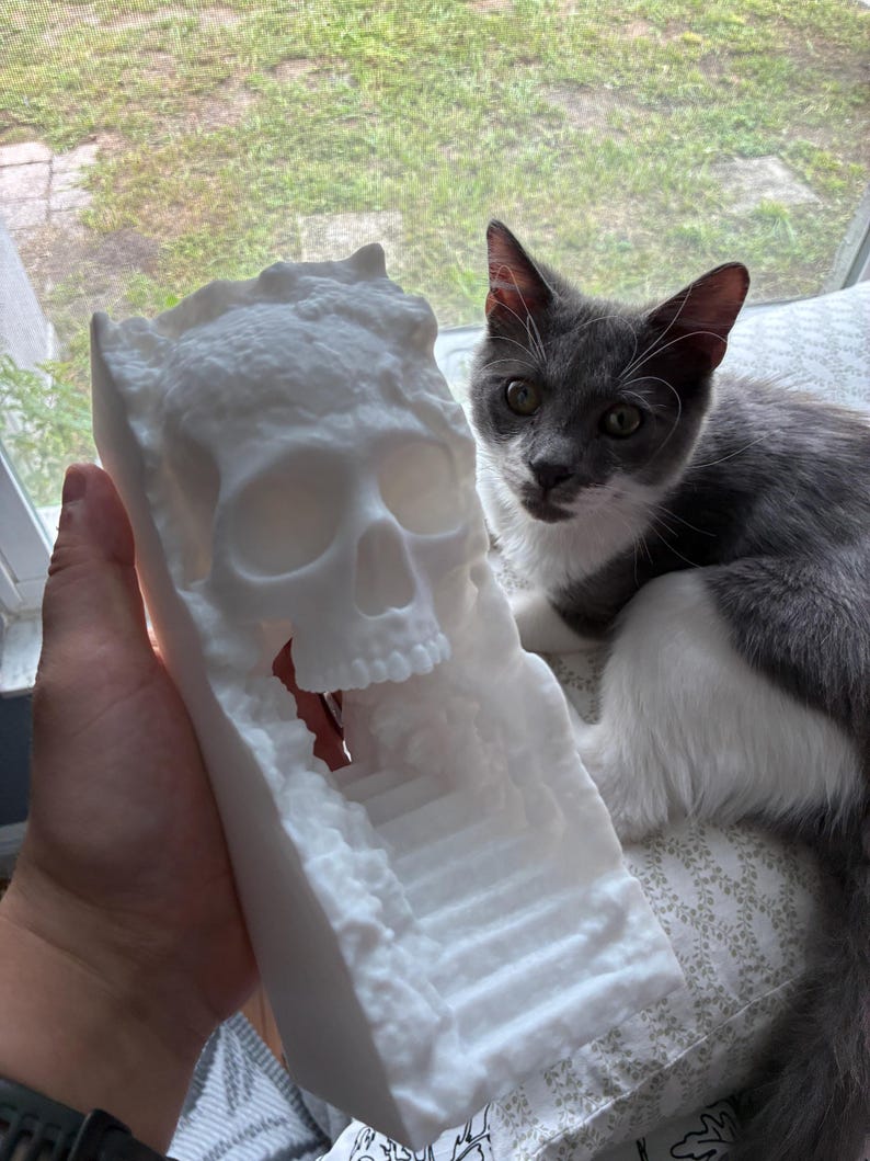 Gothic Book Nook Skull Cave, Bookshelf Insert Unpainted - Etsy