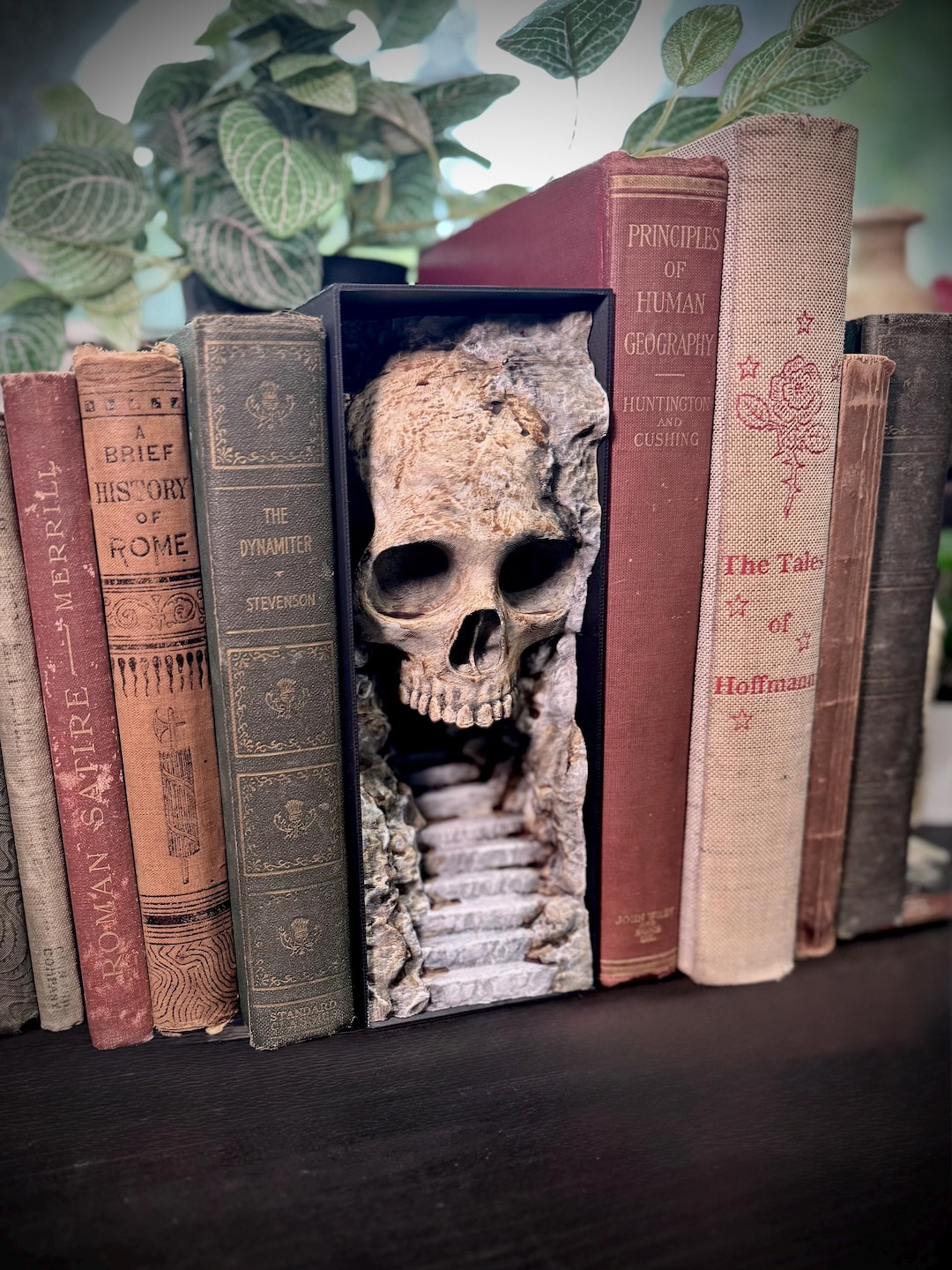 Gothic Book Nook Skull Cave, Bookshelf Insert Unpainted - Etsy