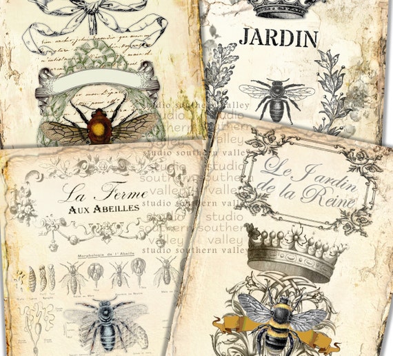 French Bee Illustration
