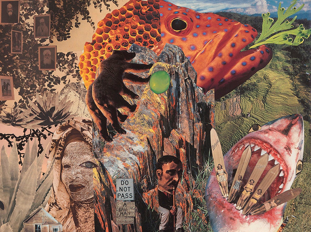 ORIGINAL Paper Collage Art 12x16 - Psychedelic Wall Art - Unique Animal ...