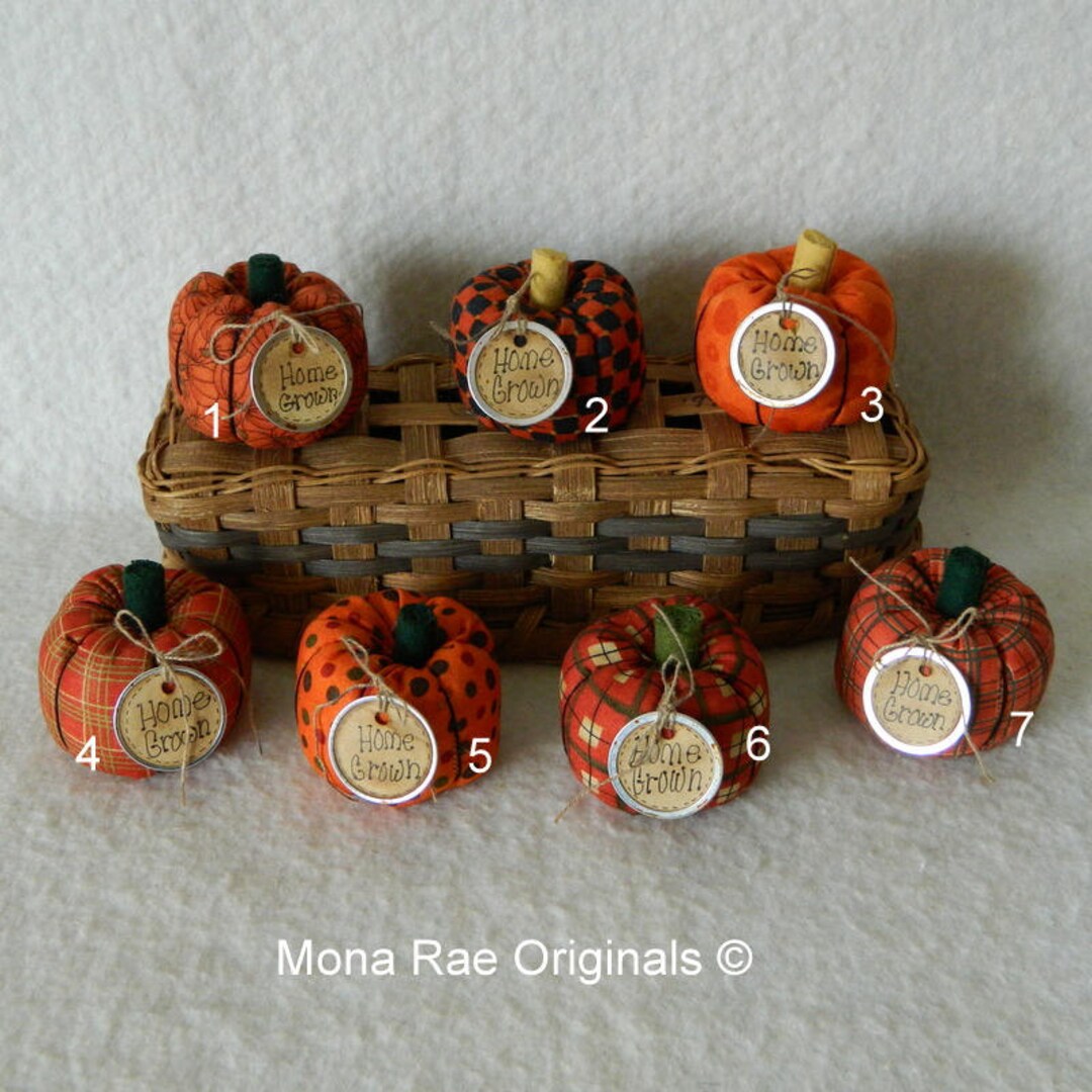 Mini Orange Pumpkins ~ 3 Inches ~ Seven Different Home Grown Pumpkins ...