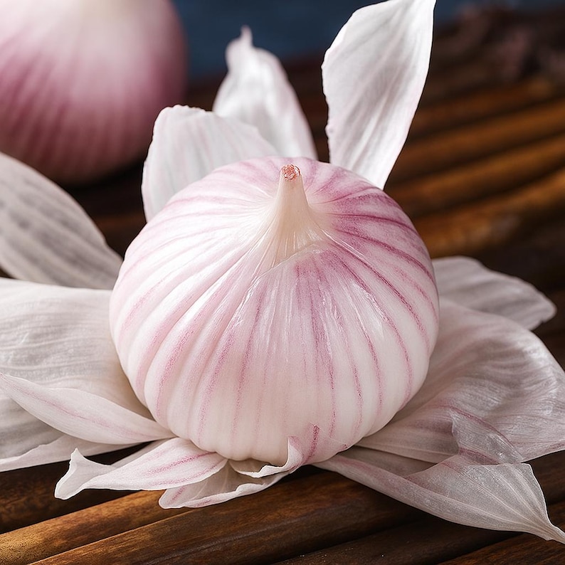 Solo Garlic – Single Clove Garlic Bulb Sun Dried Fresh Mild & Sweet ...