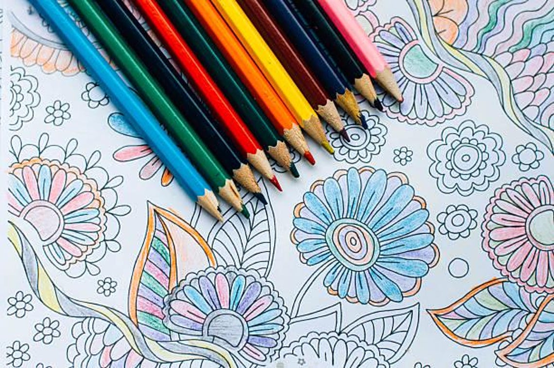 Jungle Adventure Coloring Book 50 Wild Animals to Color - Etsy