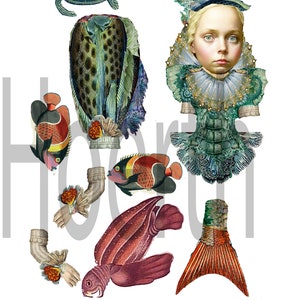 Printable New Mermaid Articulated Paper Doll Download DIY Project ...