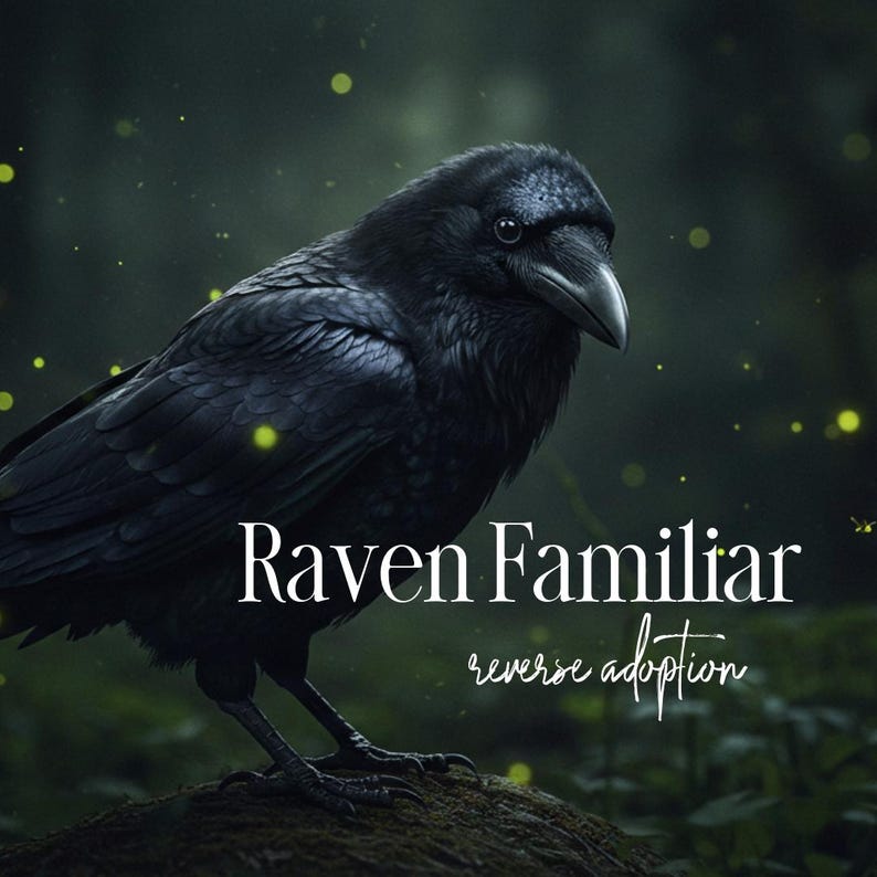 Raven Familiar Reverse Adoption | Spirit Raven Chooses You | Prophetic ...