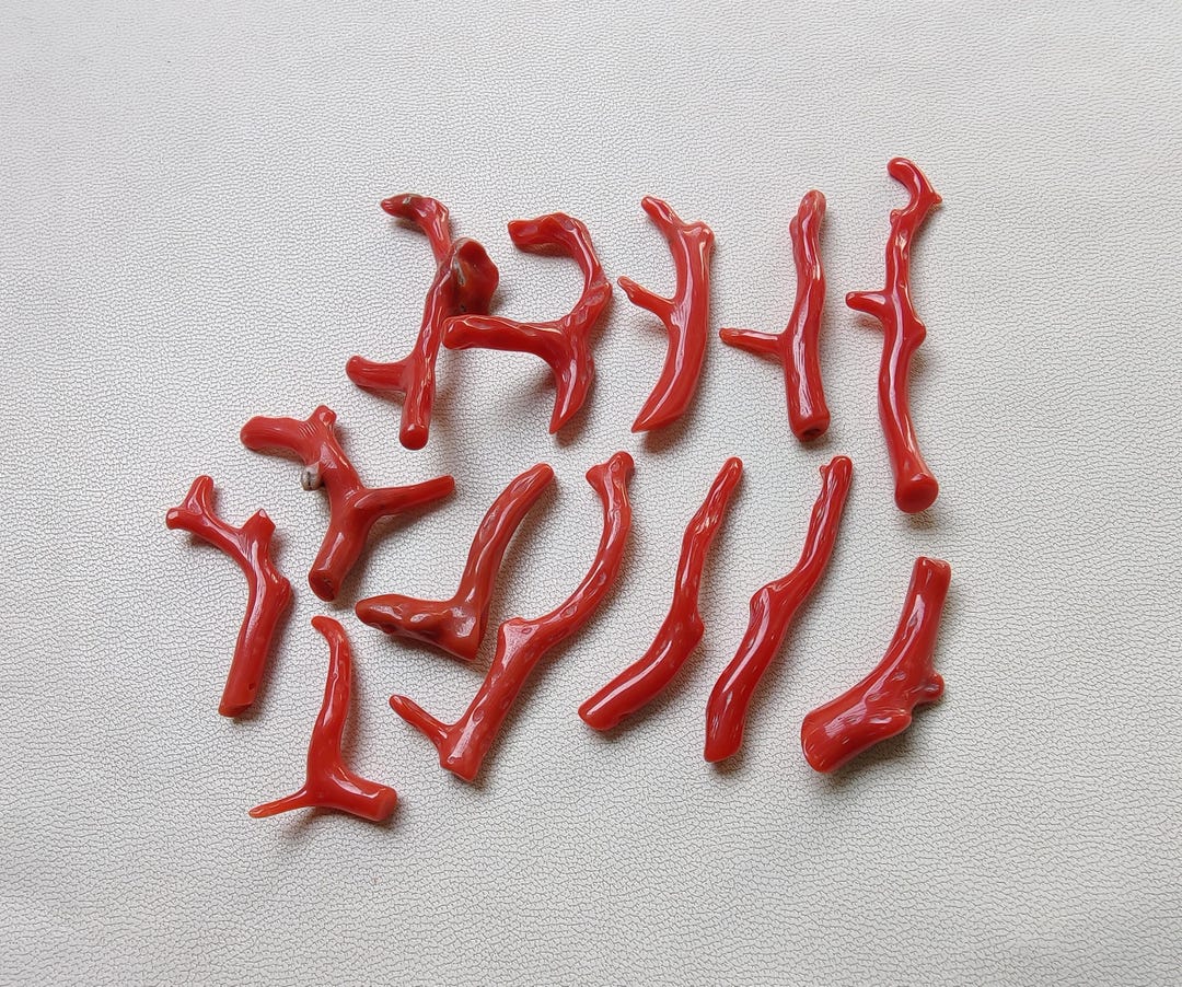 Italian Red Coral Branch Gemstone, Polished Sticks, 64.55 Ct, 13 Pcs - Etsy