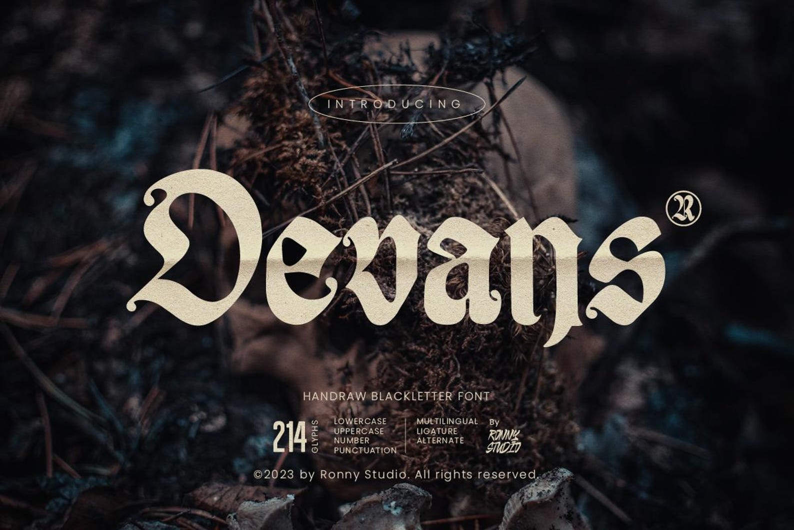 160 Gothic Medieval Fonts: Old English Font Pack (SVG, OTF, TTF ...
