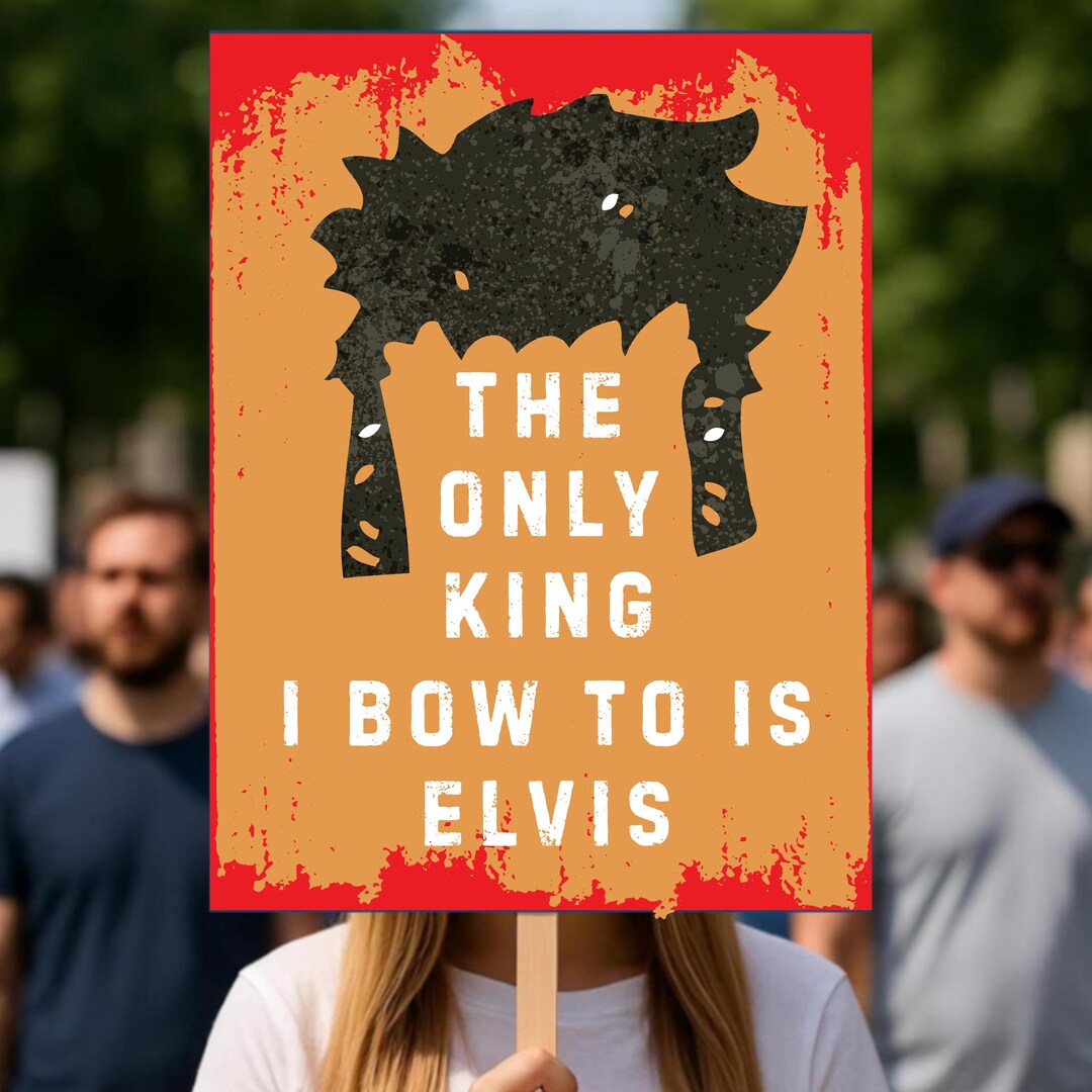 No Kings in America Protest Sign, Anti-trump, Different Hats, Democracy ...