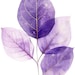 10 Purple Gold Leaves Clipart, Leaves Print, Printable Watercolor ...