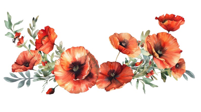 11 Poppy Flower PNG Clipart, Watercolor Floral PNG, Red Poppy Bouquet ...