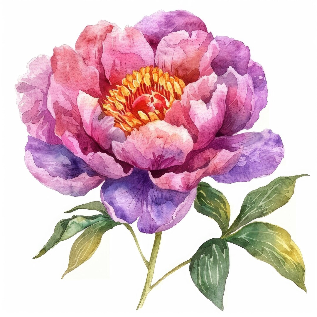 10 Peonies Clipart, Peonies Print, Printable Watercolor Clipart, High ...