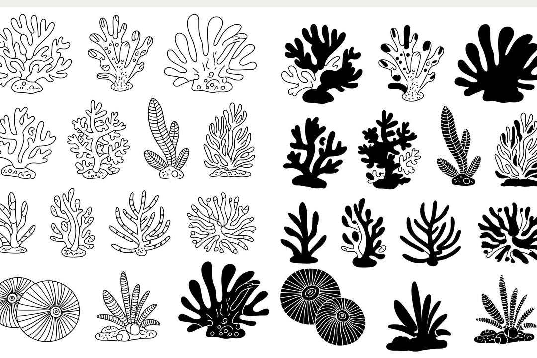 Coral Reef SVG Bundle | Ocean Seaweed Silhouette Clipart | Sea Plants ...