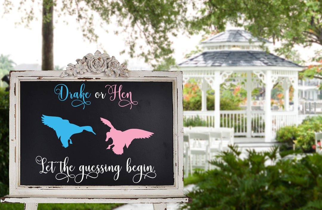 Gender Reveal Drake or Hen CUSTOMIZABLE Archery Wall Decals Living ...